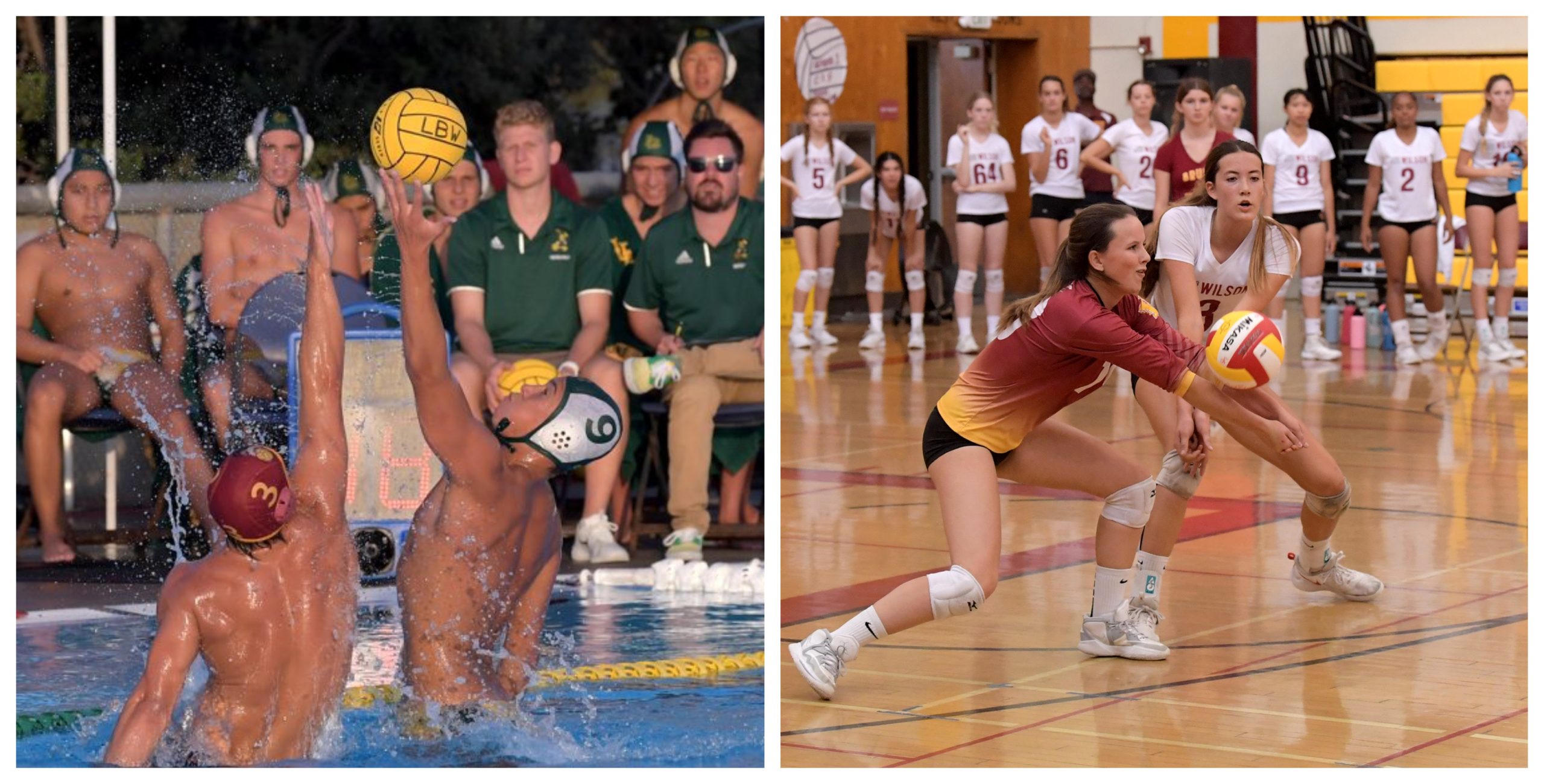 LIVE UPDATES: Long Beach Poly vs. Millikan Water Polo, Wilson at Edison ...