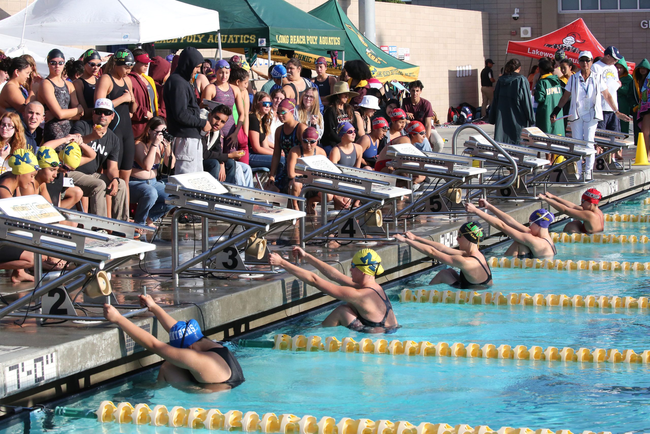 Long Beach Girls’ Swimming Season Preview 2023 – The562.org